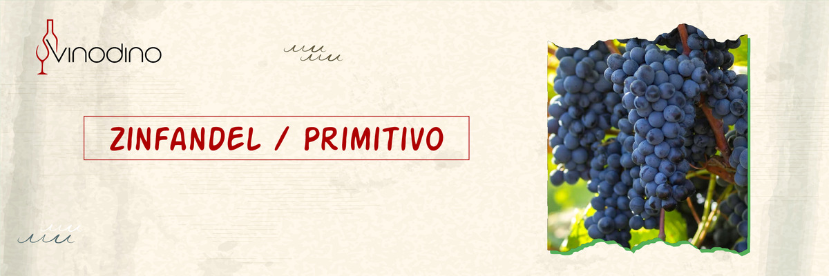 Zinfandel-guide: Allt om druvan & populära Zinfandelviner